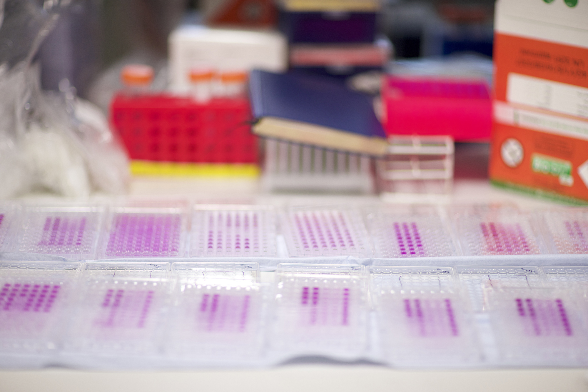 Research - Manchester Cancer Research Centre